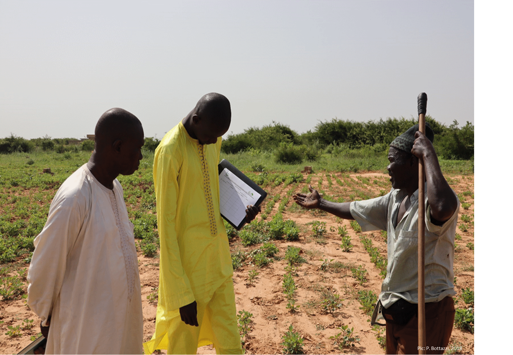 Channels of Labour Control in Organic Farming: Toward a Just Agroecological Transition for sub ...